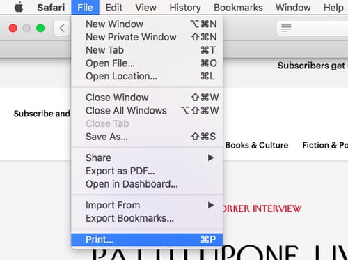 How To Save A Webpage As A PDF On Mac Chrome Safari