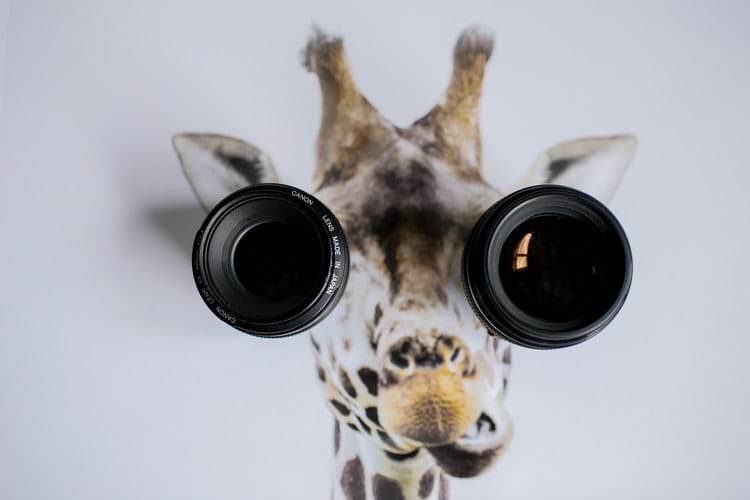 Basic Photography Concepts