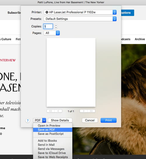 How To Save A Webpage As A PDF On Mac Chrome Safari