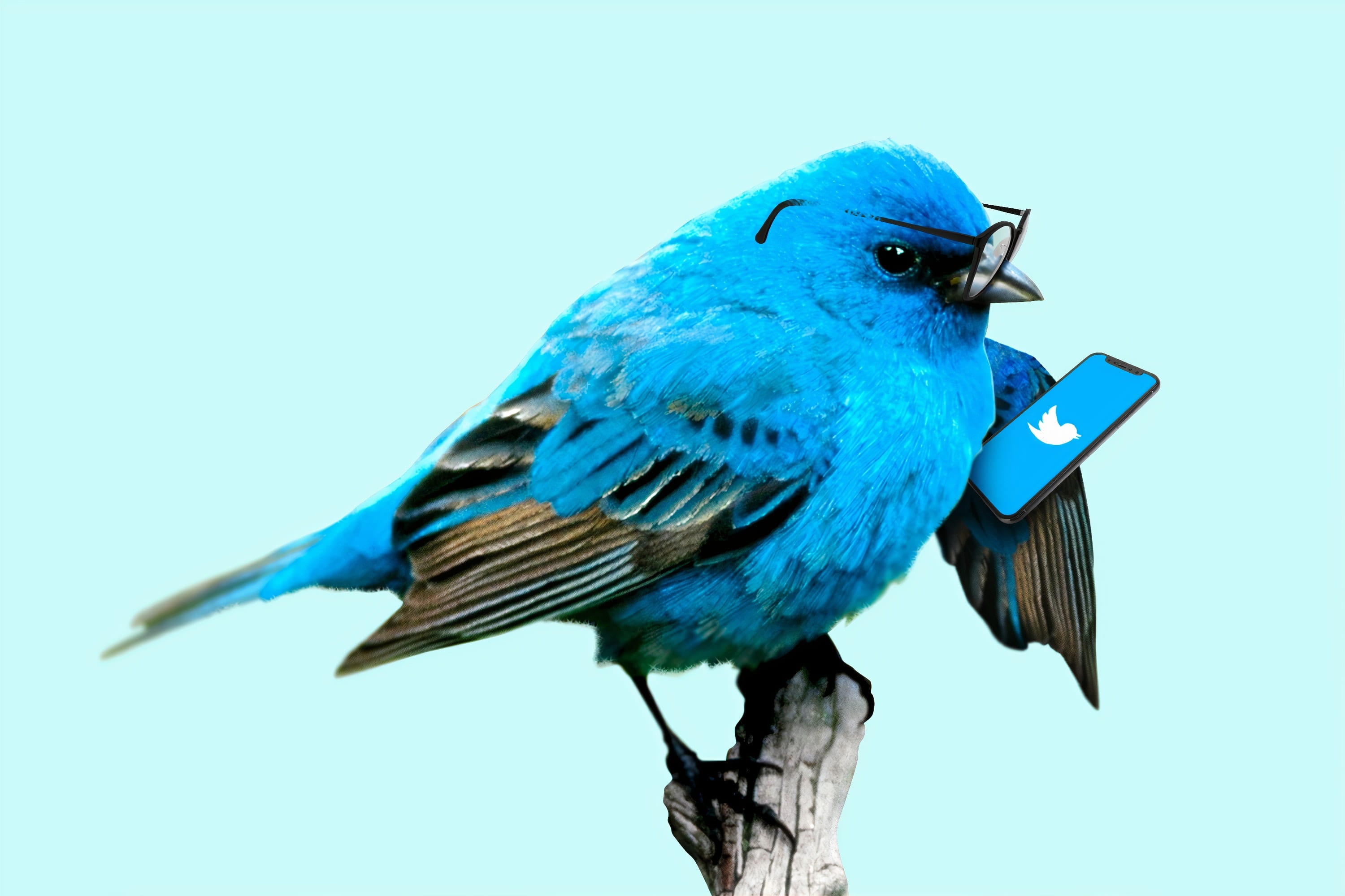 How To Set The Default Font Size On Twitter For Android CCM